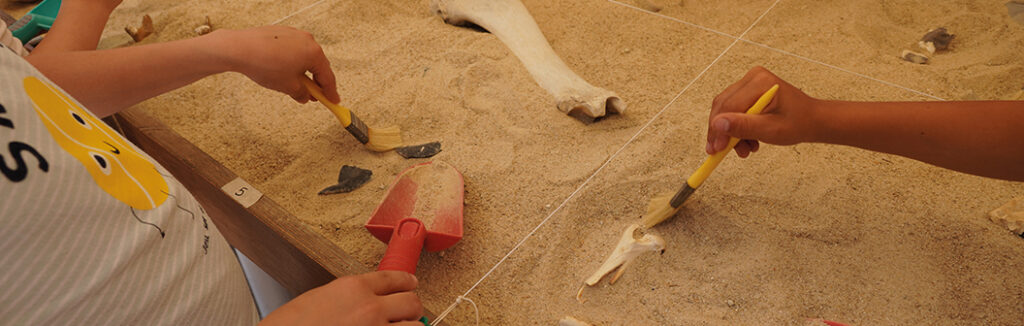 Tumulus de Bougon - Musée, parcours de découverte et nécropole
